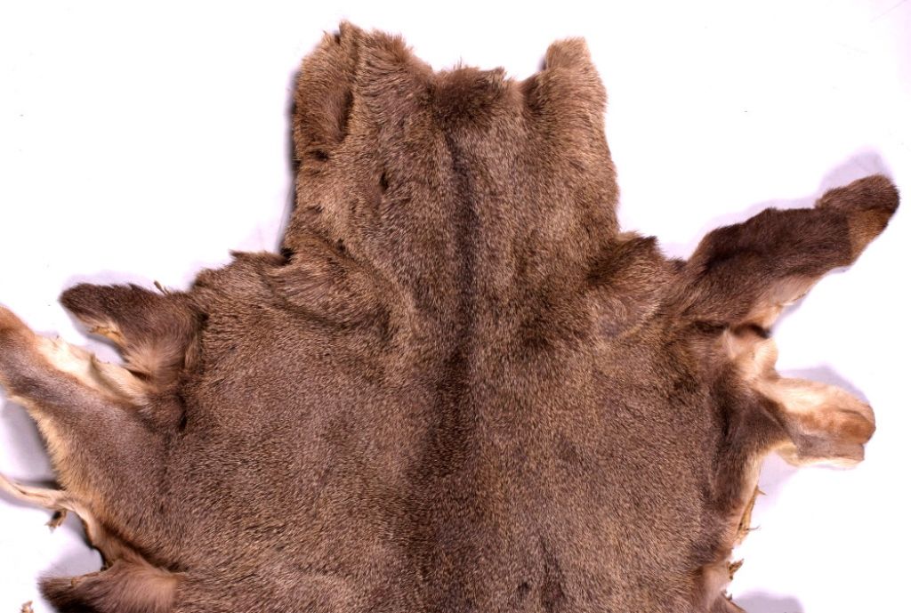Tanned Montana Mule Deer Hide This is a tanned Mon