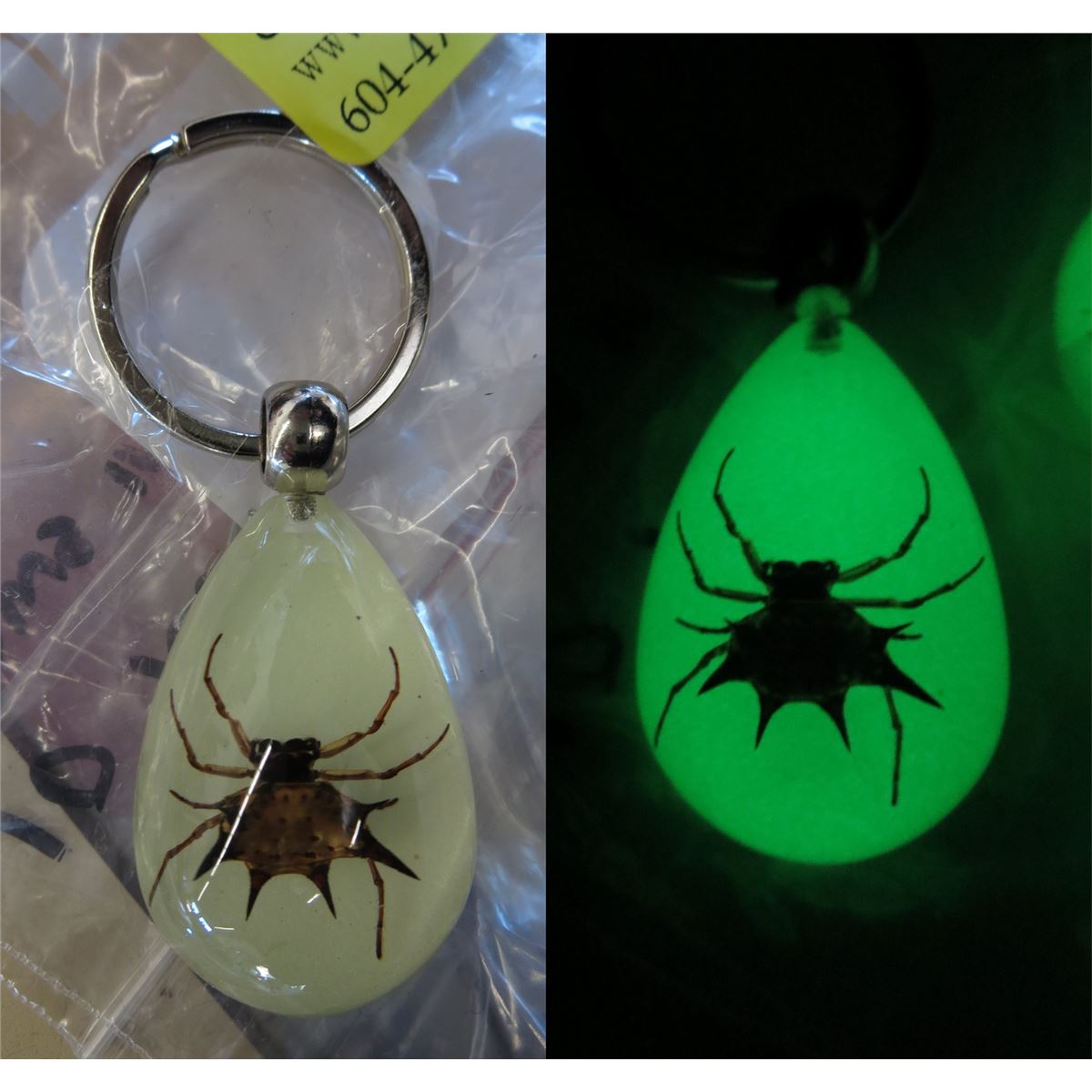 10 New real spider keychains