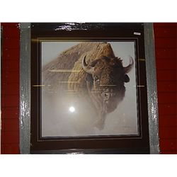 FRAMED PRINT - CHIEF BISON - ROBERT BATEMAN - GALLERY ESTIMATE $600