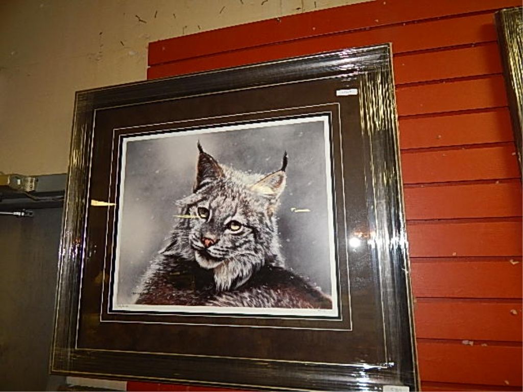 FRAMED LIMITED EDITON PRINT - THROUGH CATS EYES - LESLEY HARRISON ...