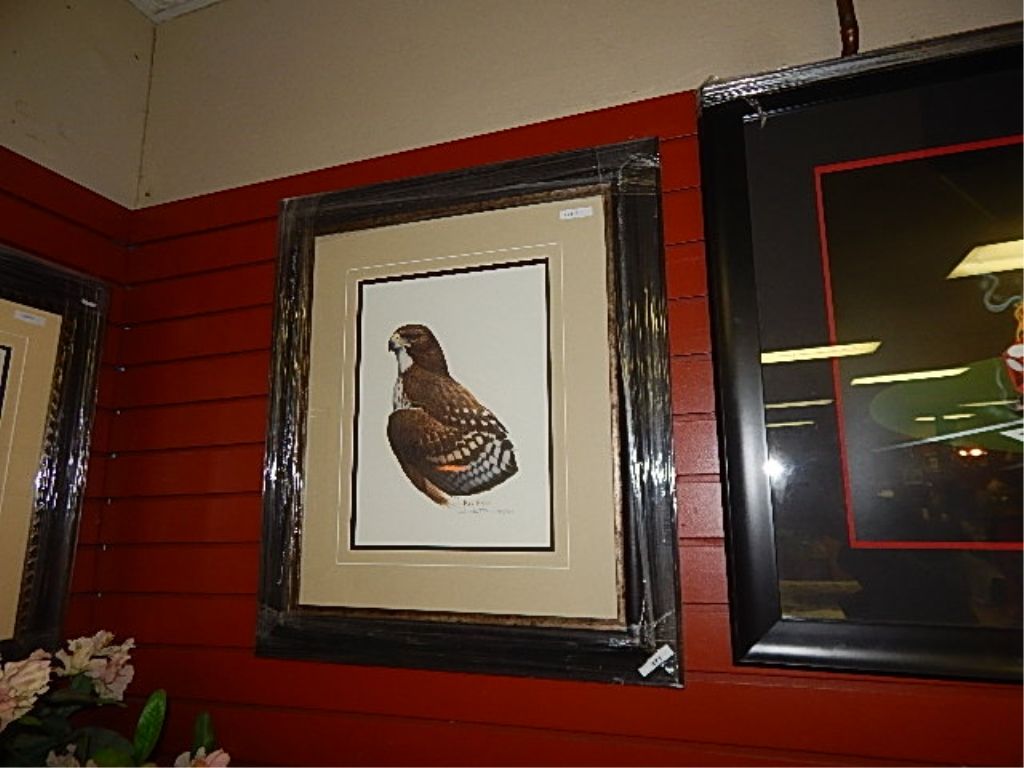 FRAMED LIMITED EDITON PRINT - RED TAILED HAWK - RAY HARM - GALLERY ...