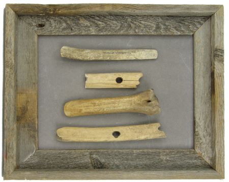 Bone Artifact Display