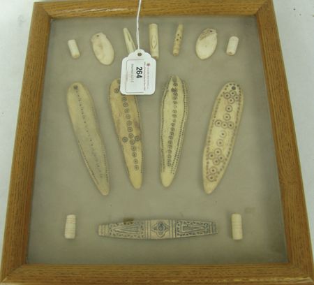 Framed Bone Display