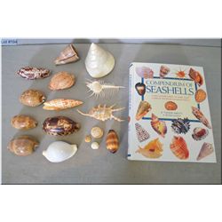 Compendium of Seashells reference guide and a selection of sea shells