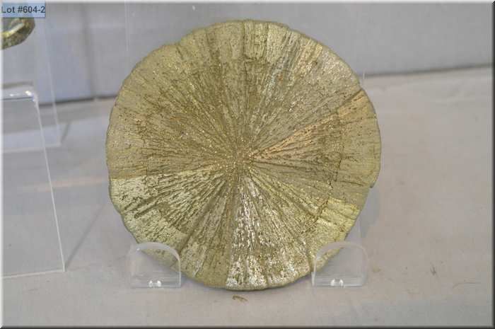 Three Pyrite specimens including a Pyrite Sun (lily pad or sand dollar ...