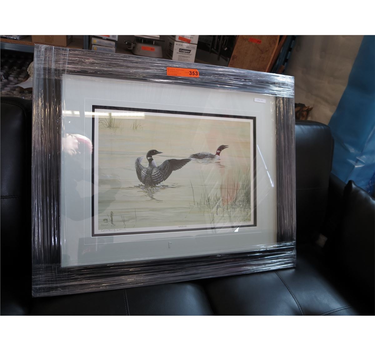 Framed print: "Courting Loons" by Lisa Calvert