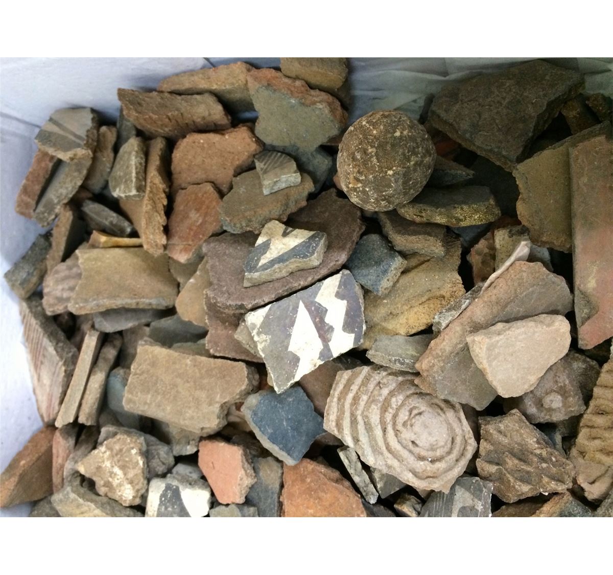 Pottery Sherd Lot
