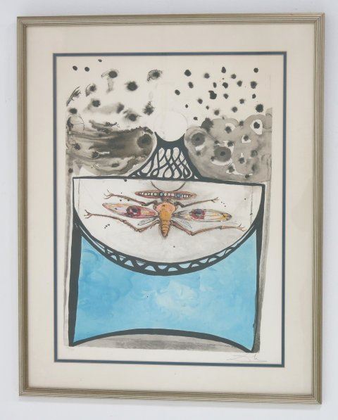 Salvador Dali, Insect to Metamorphosis