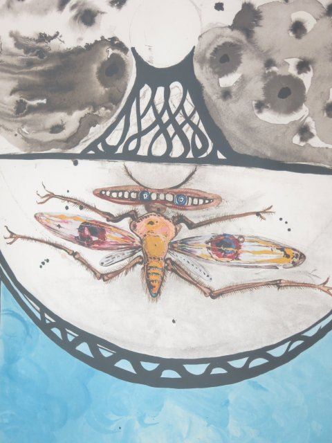 Salvador Dali, Insect to Metamorphosis