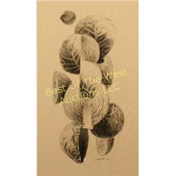 Walter Hook (1919-1989) Pencil Drawing,