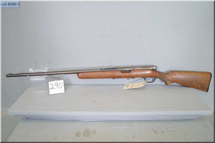 Savage Model 7 .22 LR cal mag fed semi auto Rifle w/ 24" bbl [ fading ...