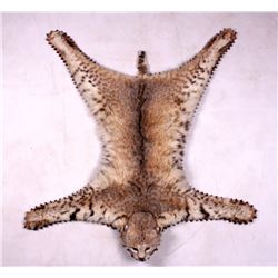 Montana Bobcat Full Rug Mount This is a Montana bo