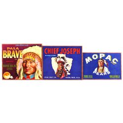 Native American Fruit Packing Label Collection Thi