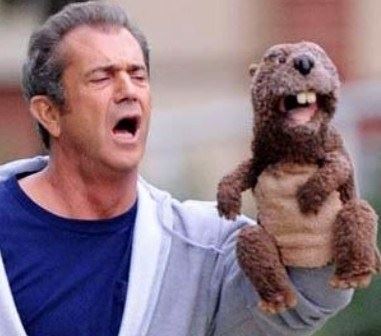 The Beaver 2011 Movie Mel Gibson Screen Used Beaver Hero Prop Puppet