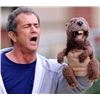 The Beaver 2011 Movie Mel Gibson Screen Used Beaver Hero Prop Puppet