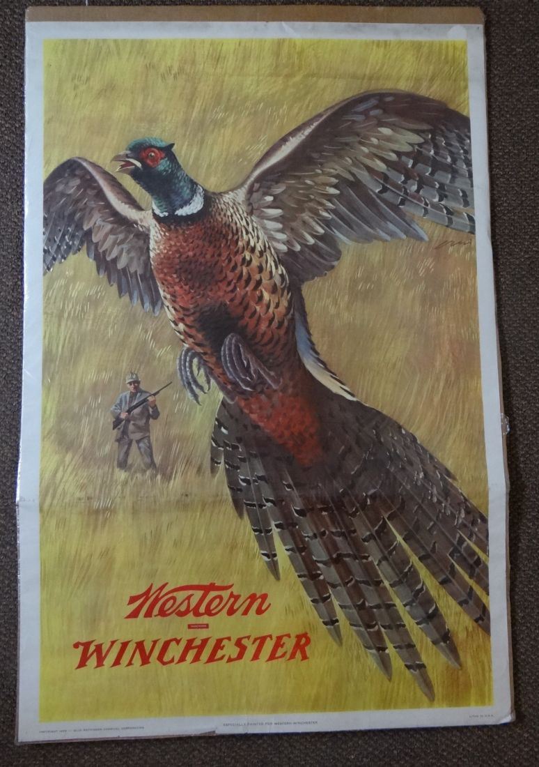 Winchester vintage poster, Pheasant, 1955, 25" x 39"