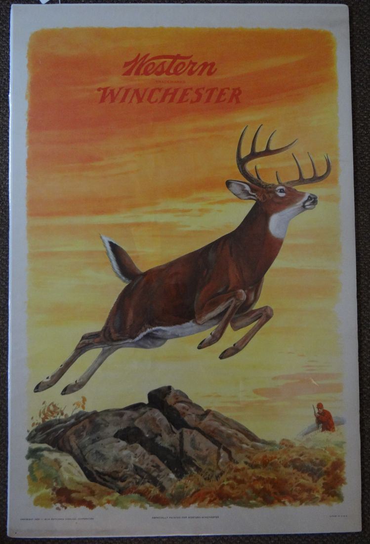 Winchester vintage poster, Whitetail Deer, 1955, 24" x 35"