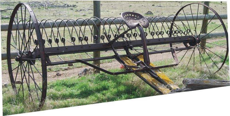 horse drawn dump rake