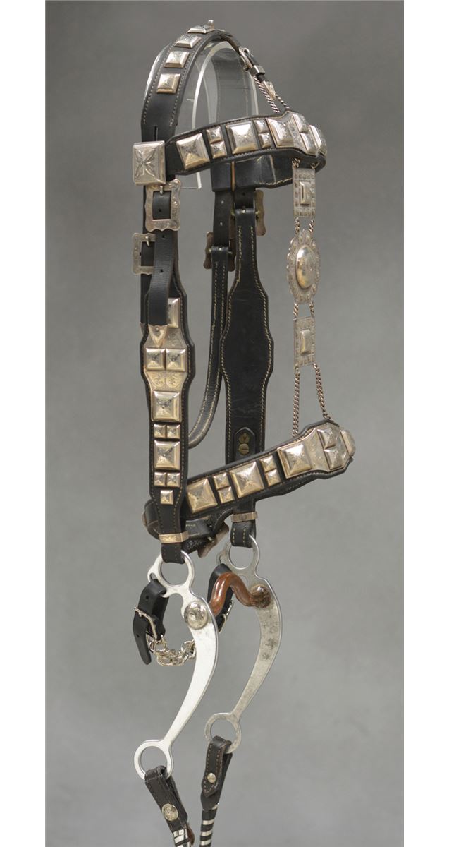 Holtz Saddle Co. Silver Parade Saddle