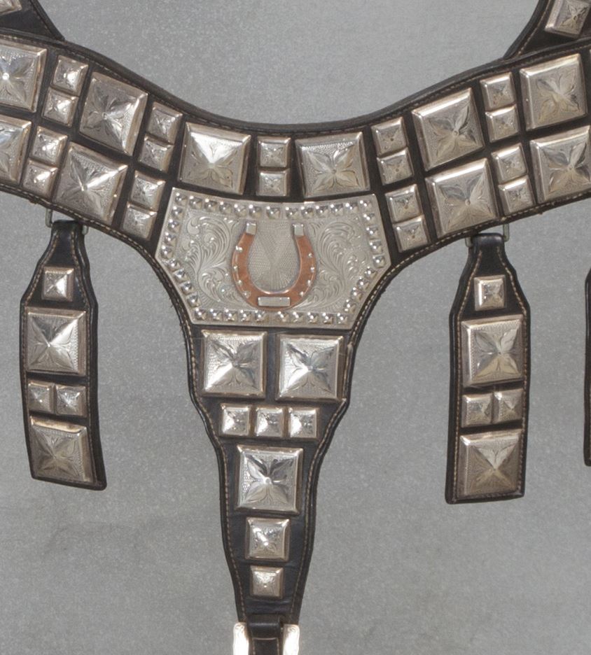 Holtz Saddle Co. Silver Parade Saddle