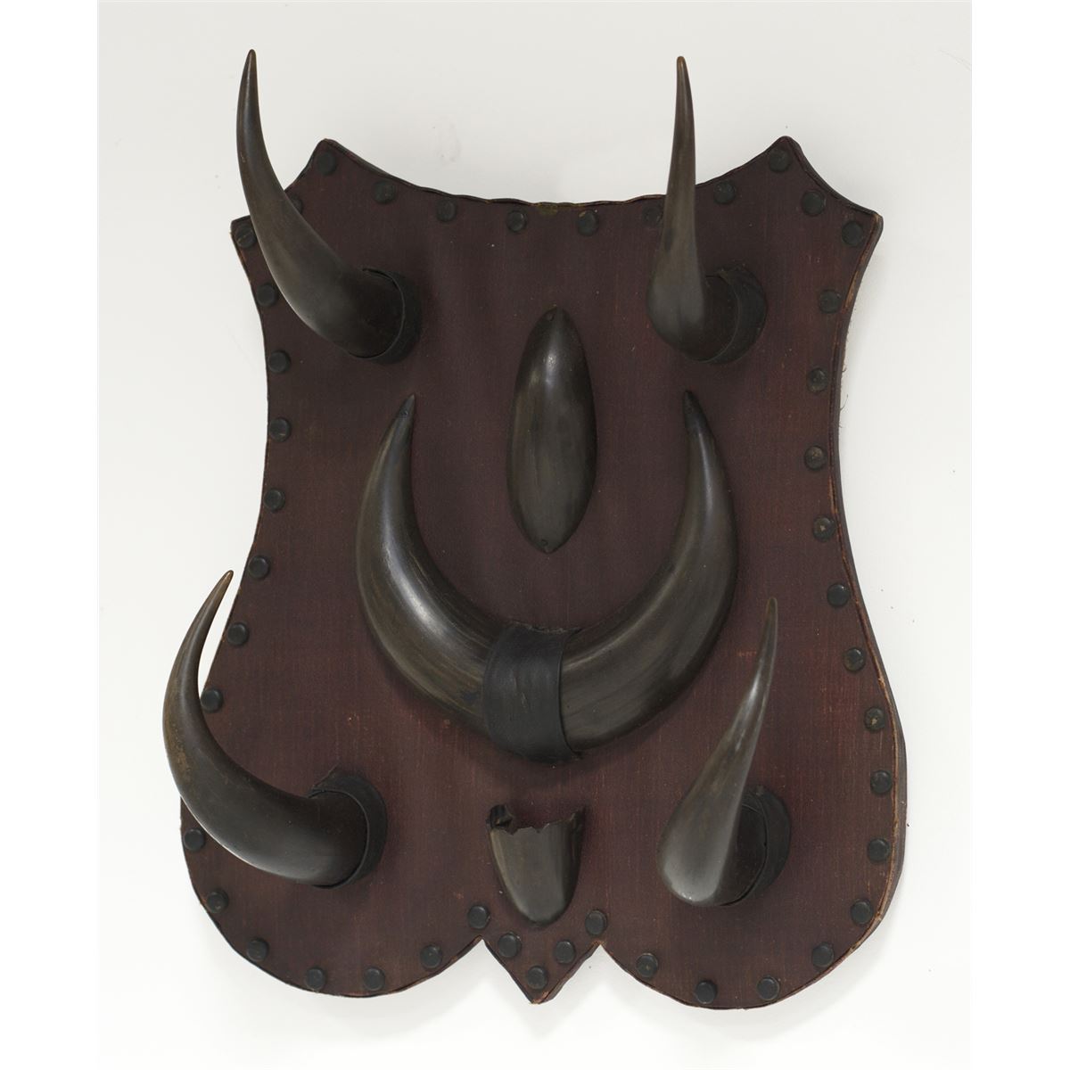 Buffalo Horn Wall Display