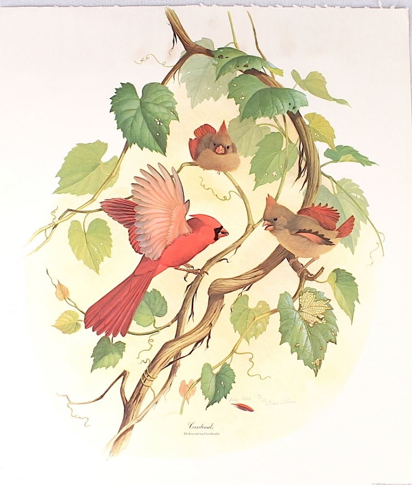 Diane Pierce Signed "Cardinals" 1975 20x23 Lithograph (PA LOA)
