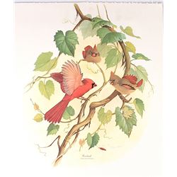 Diane Pierce Signed "Cardinals" 1975 20x23 Lithograph (PA LOA)