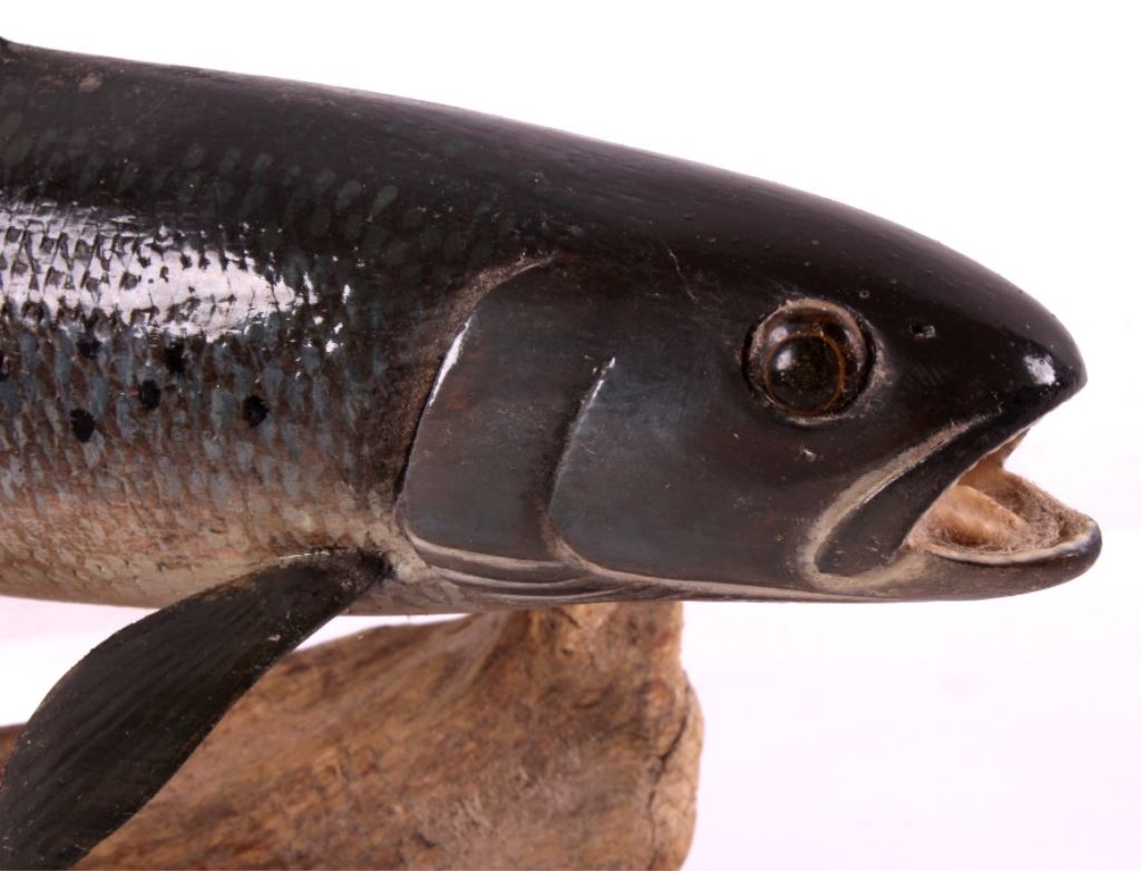 Ed Totten Carved Wooden Arctic Greyling