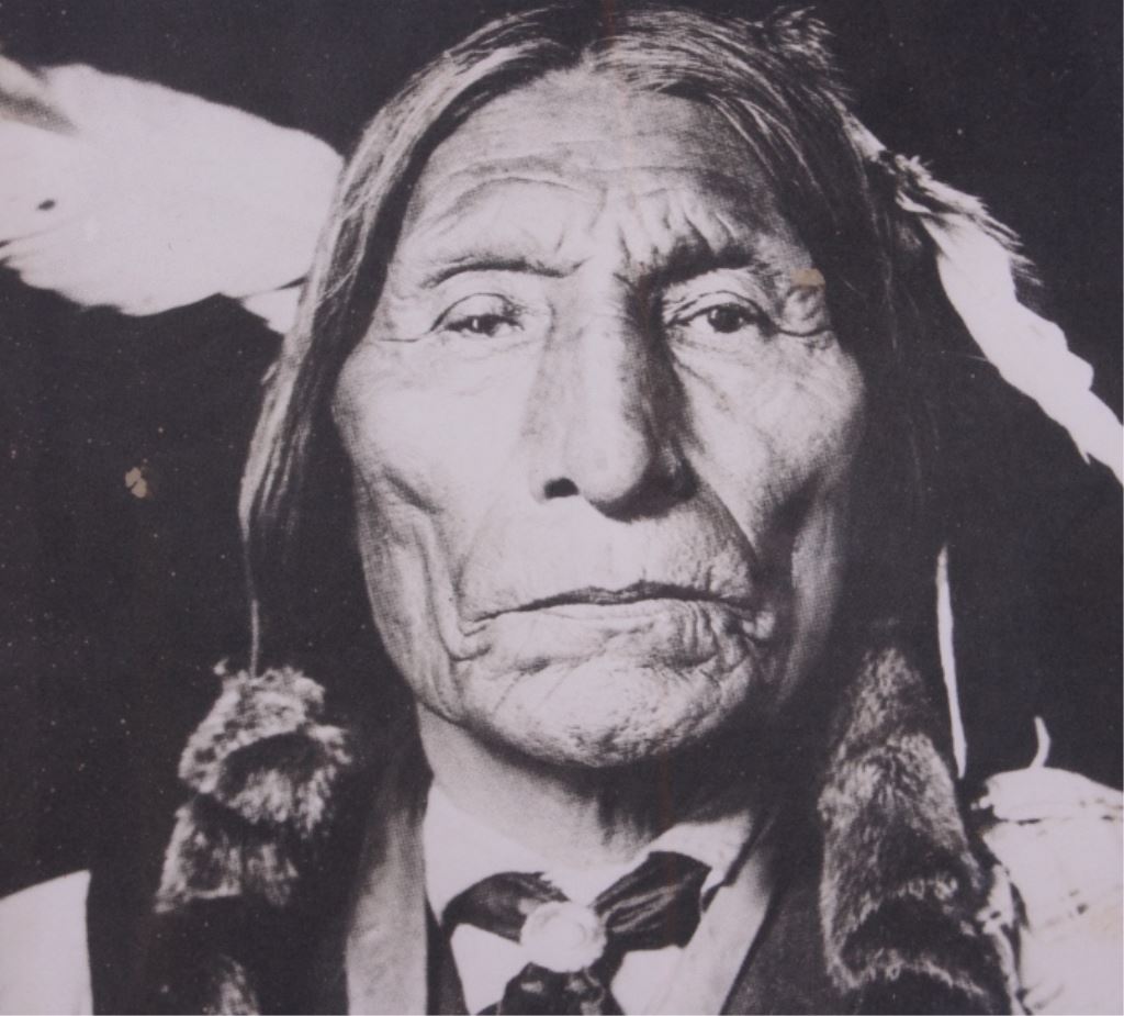 Wolf Robe Framed Photograph