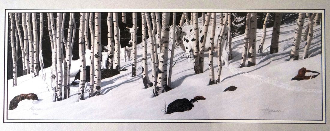 Ann Hanson, Holstein cows in Aspens scene, singed print 47/600, 32" x ...