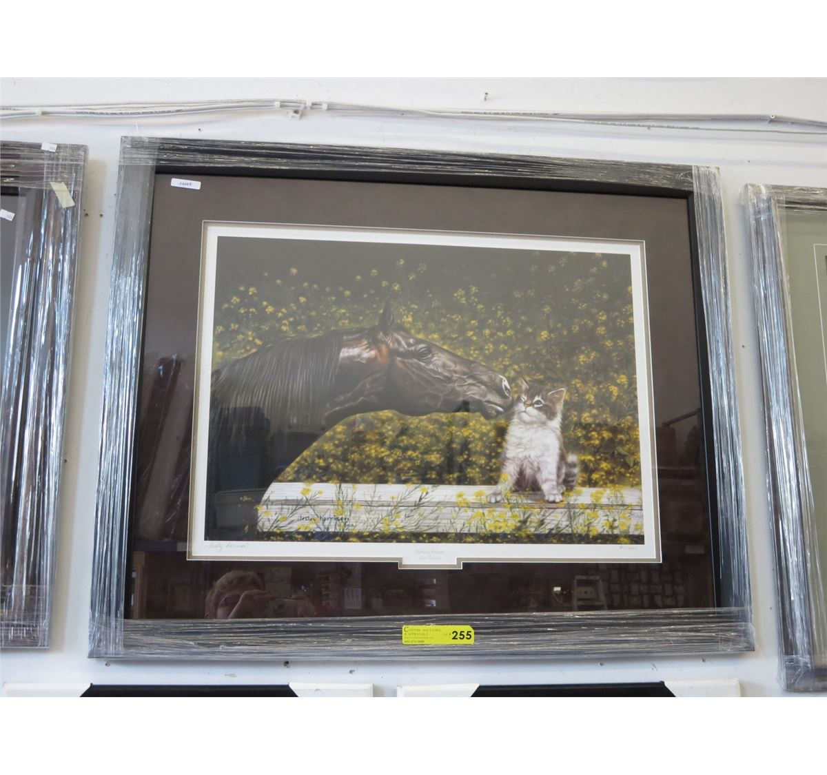 Limited edition Lesley Harrison print