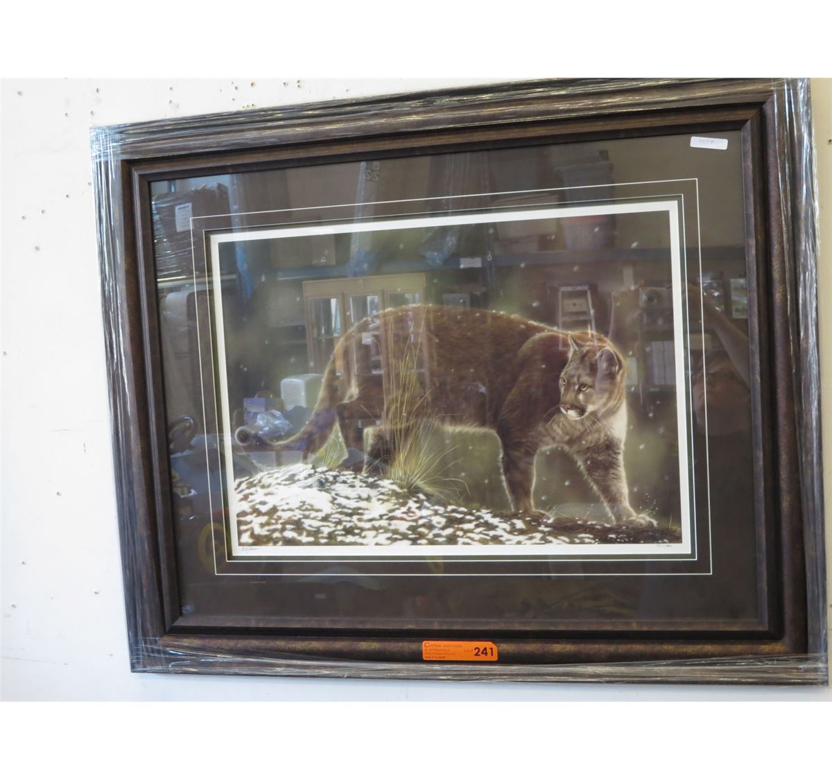 Limited edition Lesley Harrison print