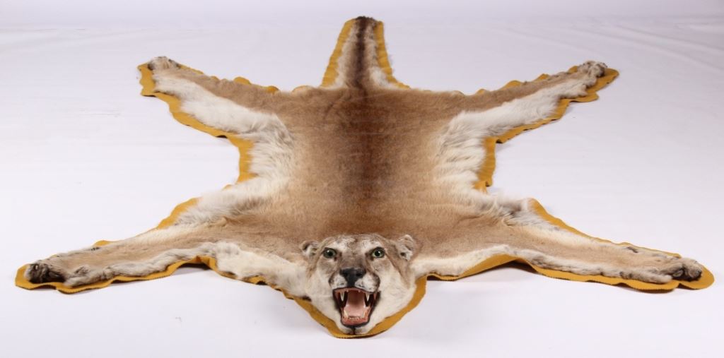 Montana Trophy Mountain Lion Rug