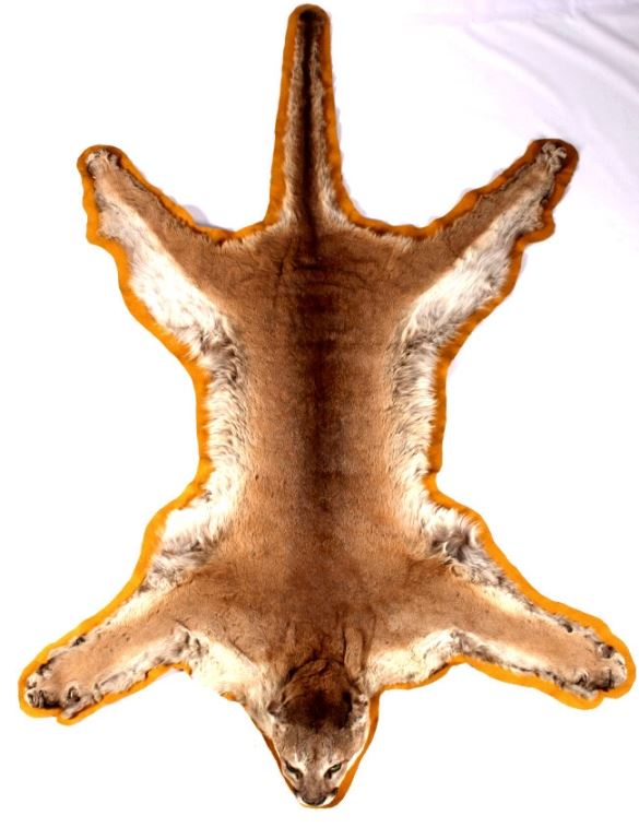 Montana Trophy Mountain Lion Rug