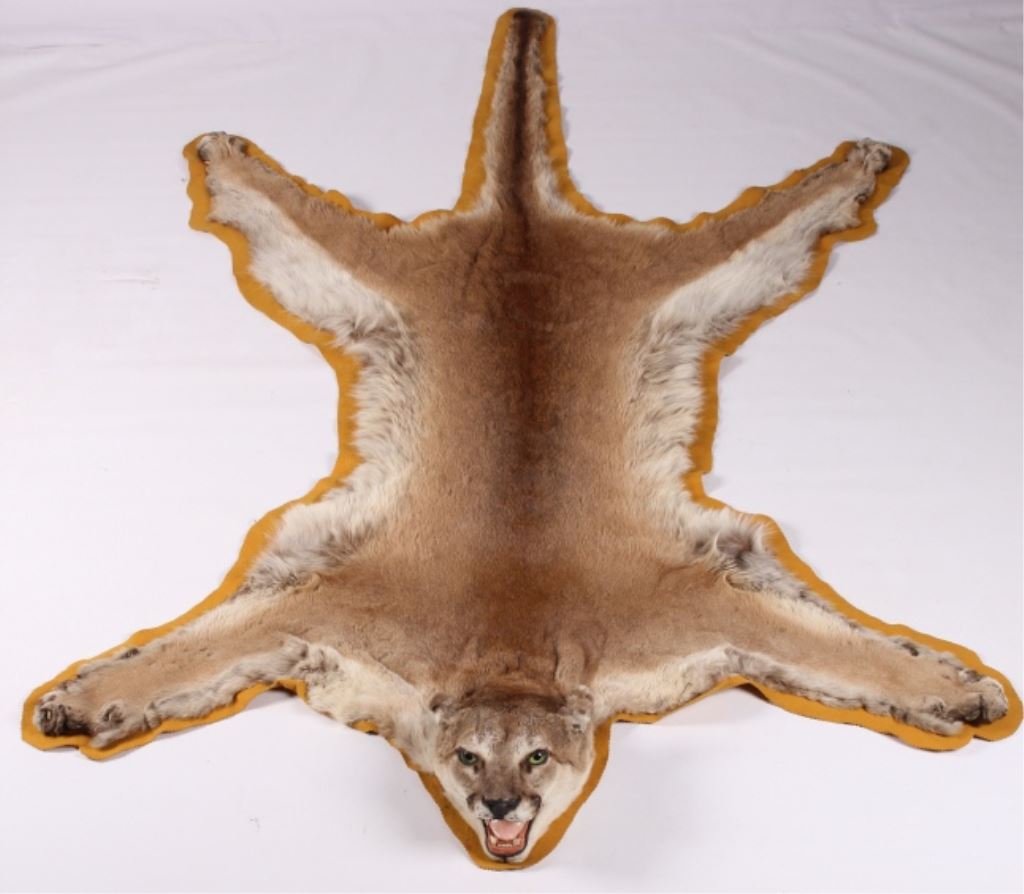 Montana Trophy Mountain Lion Rug