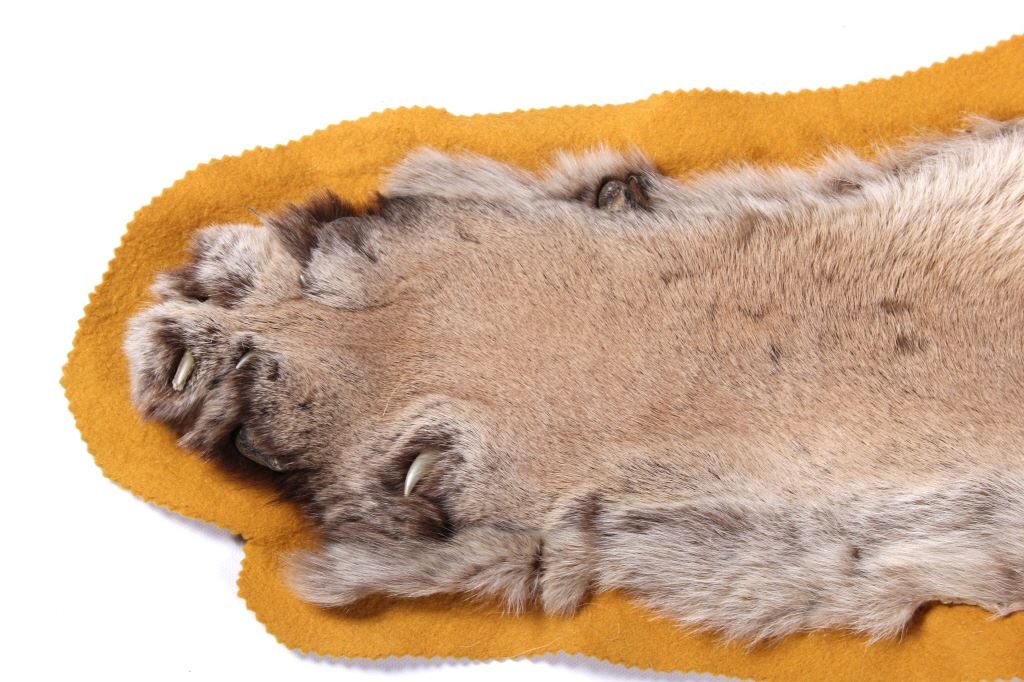 Montana Trophy Mountain Lion Rug
