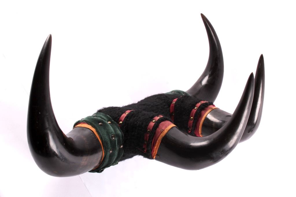 Western Buffalo Horn Rack early 1900