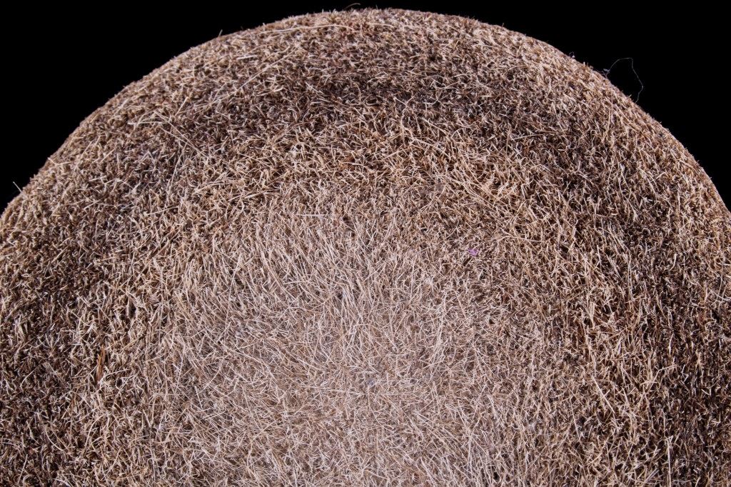 Antique Chinese Sacred Ox Bezoar Stones