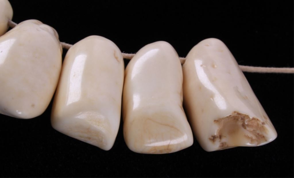 Alaskan Eskimo Walrus Ivory Hunter Trophy Necklace