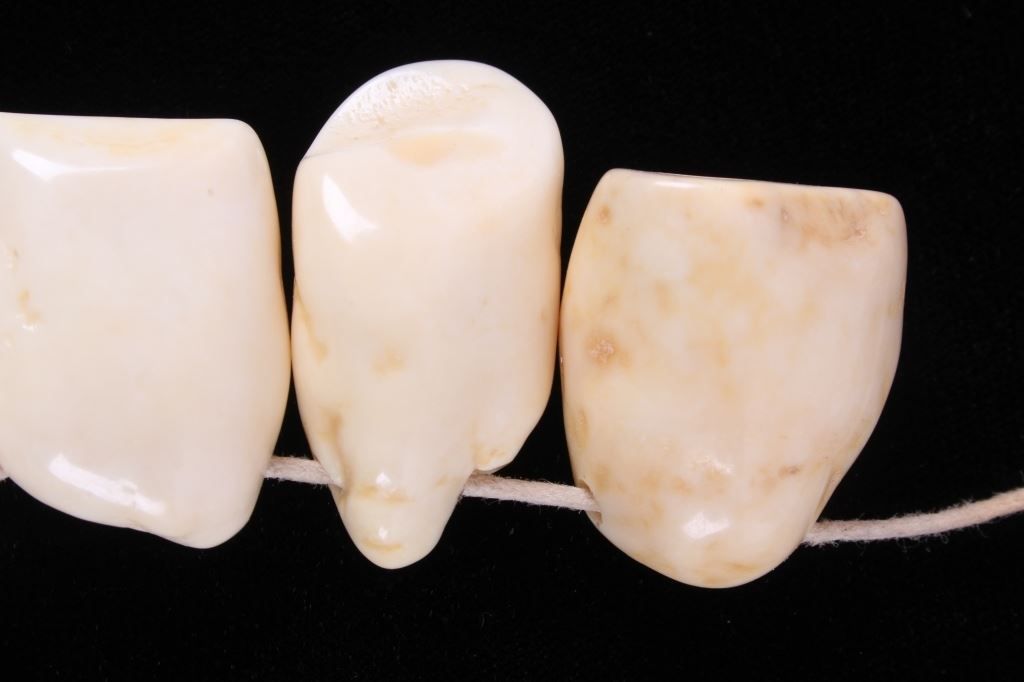Alaskan Eskimo Walrus Ivory Hunter Trophy Necklace