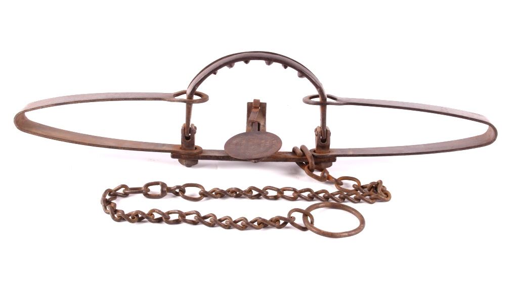 Newhouse #114 Wolf Trap with Rare Teeth