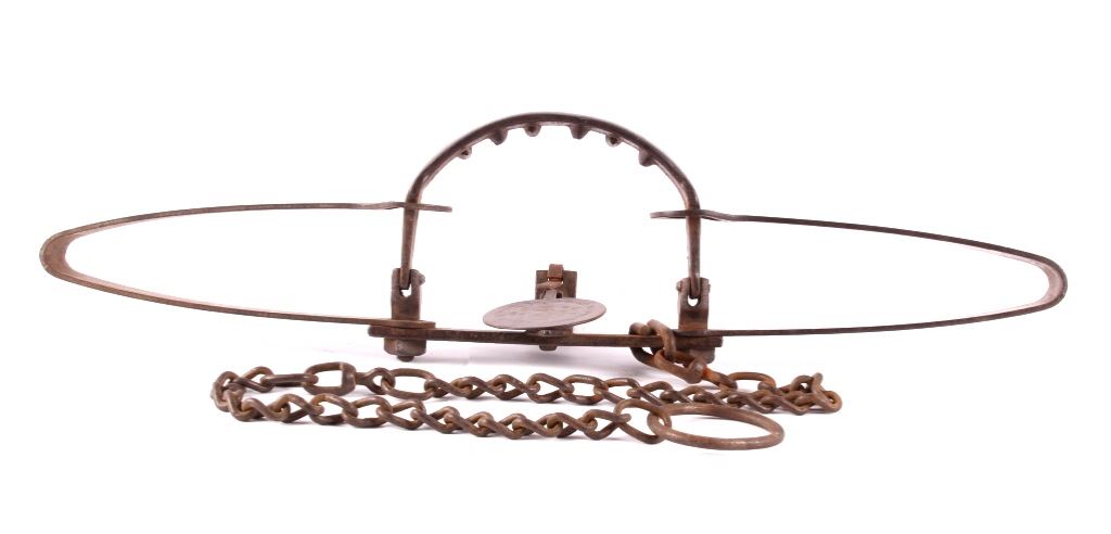 Newhouse #114 Wolf Trap with Rare Teeth