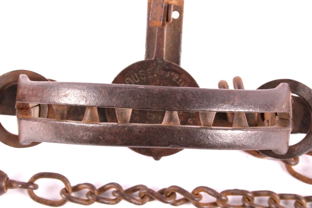 Newhouse #114 Wolf Trap with Rare Teeth