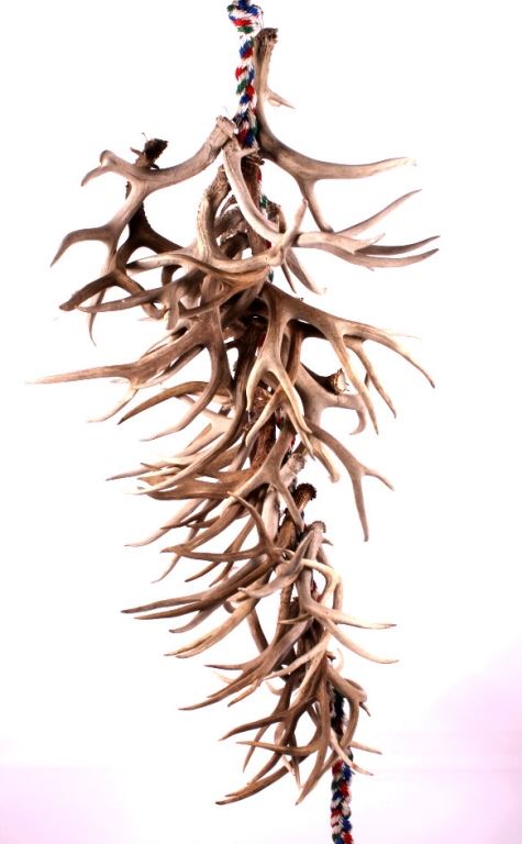 Kill Rope Antler Collection