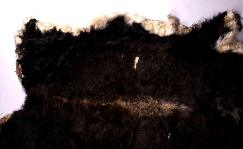 RARE Tanned Yak Hide Rug