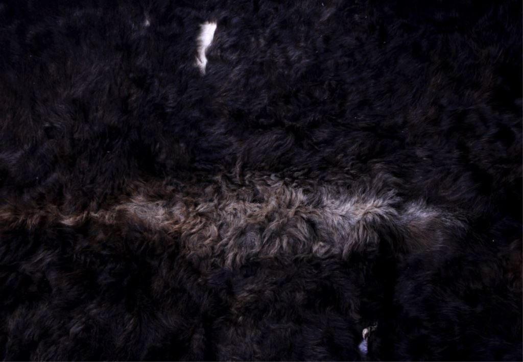 RARE Tanned Yak Hide Rug