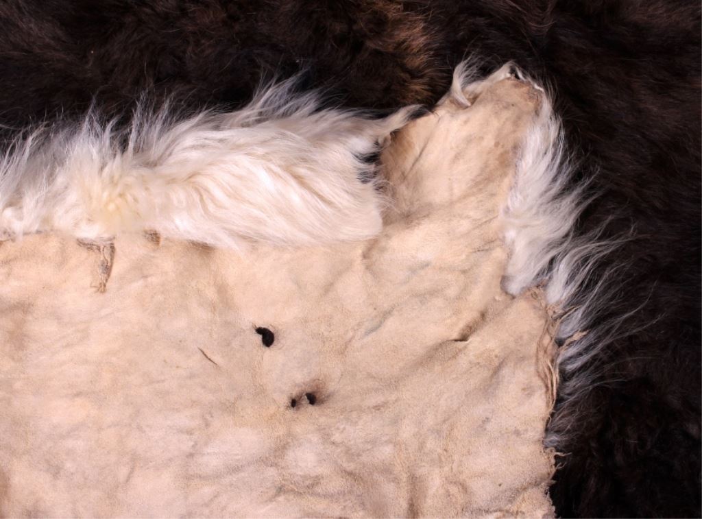 RARE Tanned Yak Hide Rug