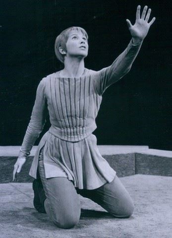 The Lark Joan of Arc Julie Harris Costume