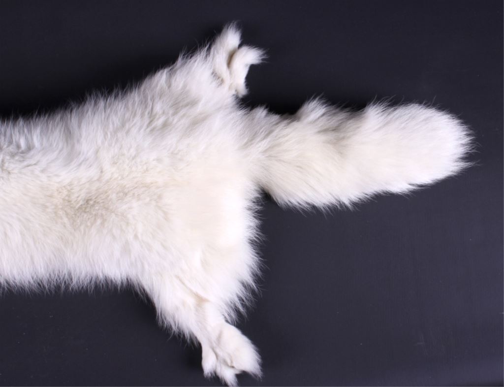 Arctic Fox Hide