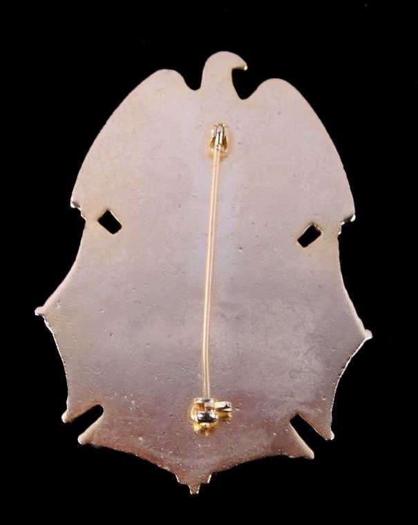 US Organized Crime Special Agent Task Force Badge